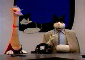 TÃ©lÃ©chat - Le Blog Du Nouveau Morning